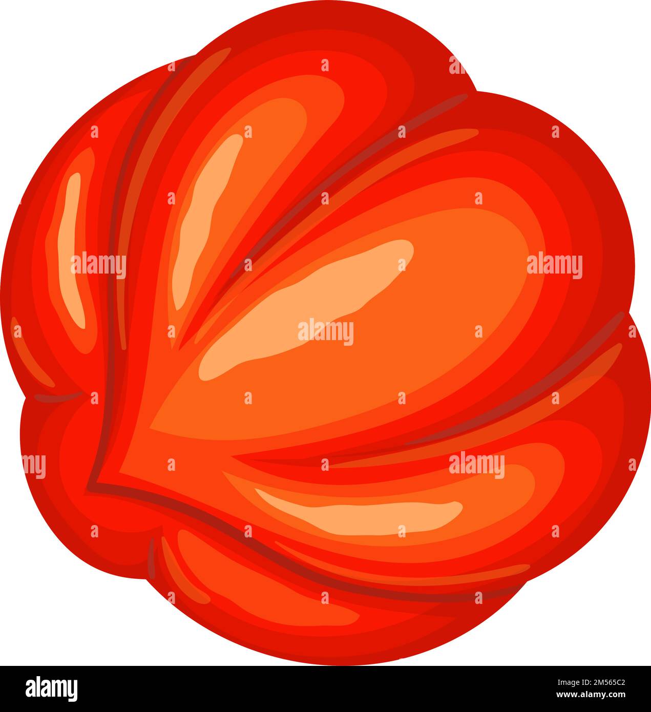 guarana fruit natural cartoon vector illustration Stock Vector Image ...