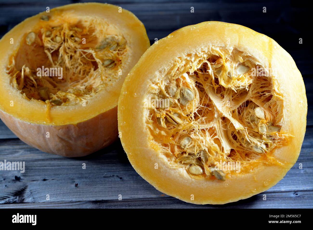 squash, pumpkin, or gourd, Cucurbita is a genus of herbaceous fruits in ...