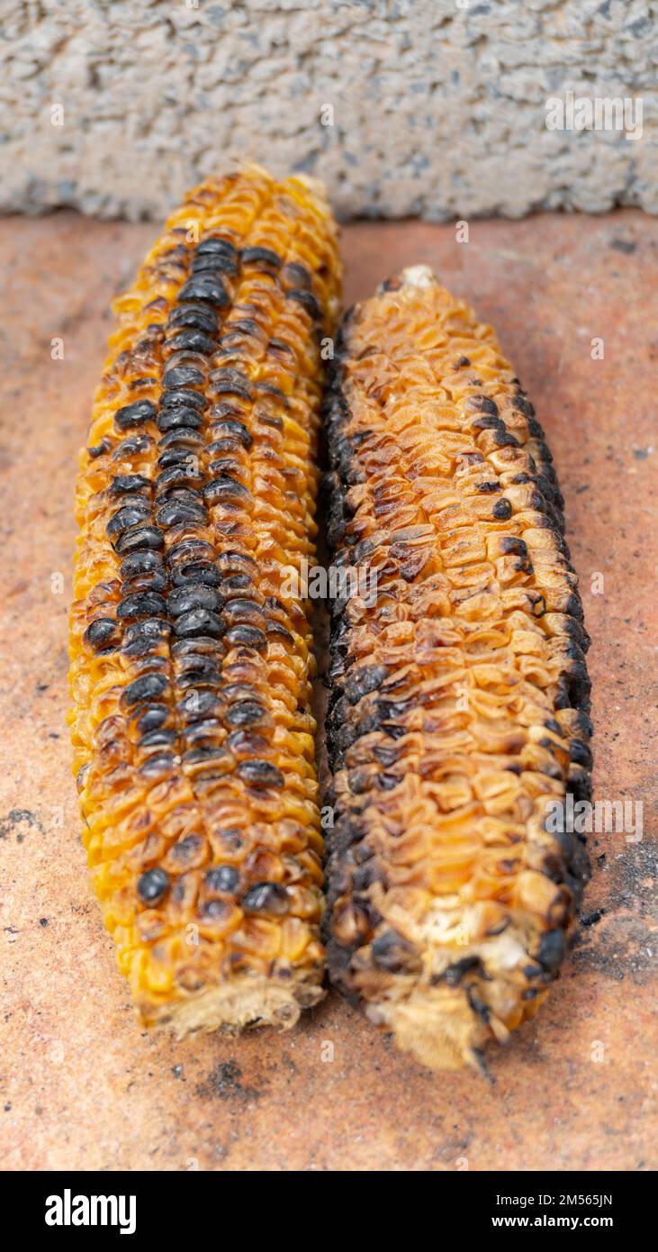 A vertical closeup of two ears of grilled corn on the cob Stock Photo ...