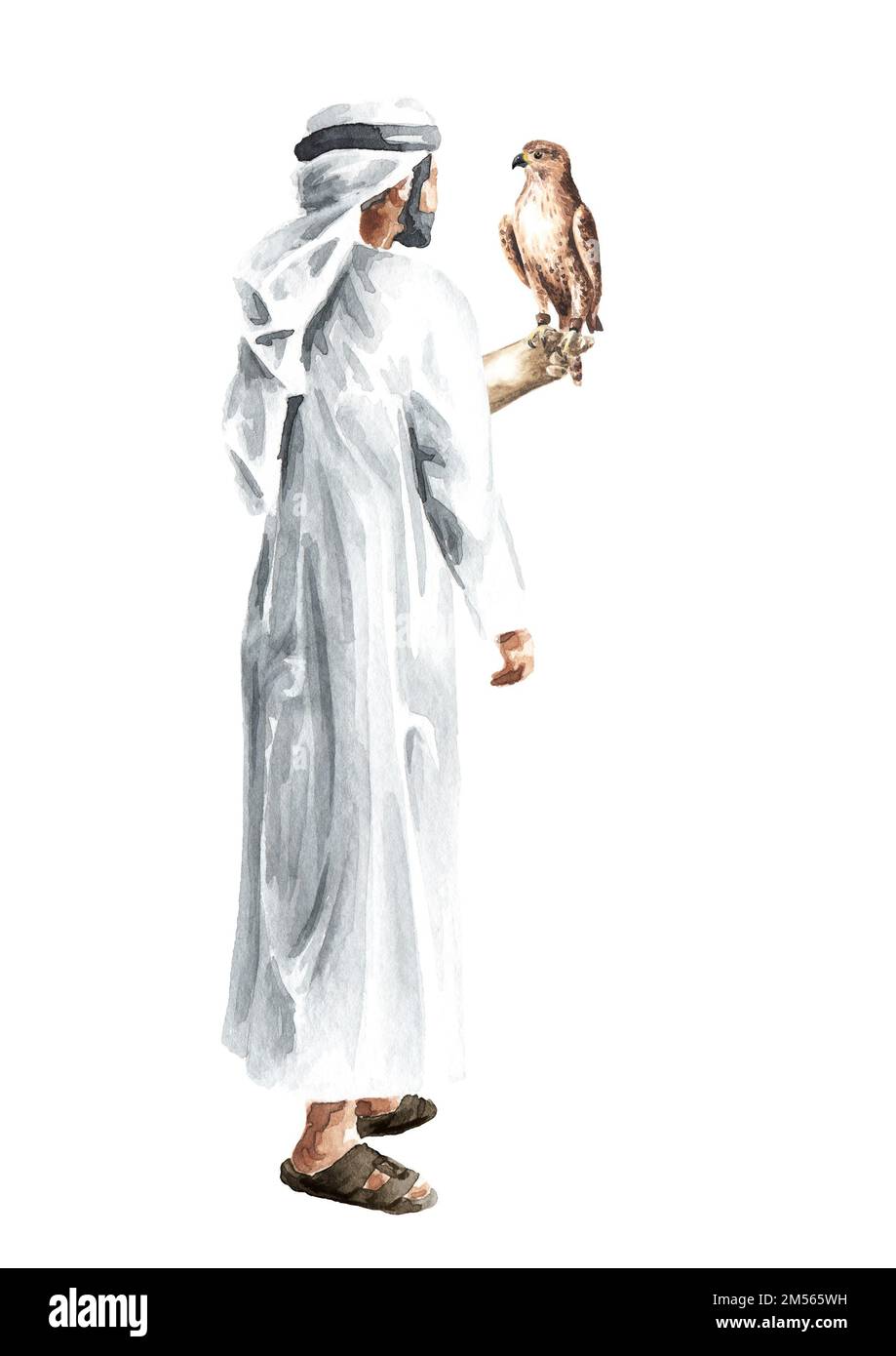 Arab man falcon Cut Out Stock Images & Pictures - Alamy
