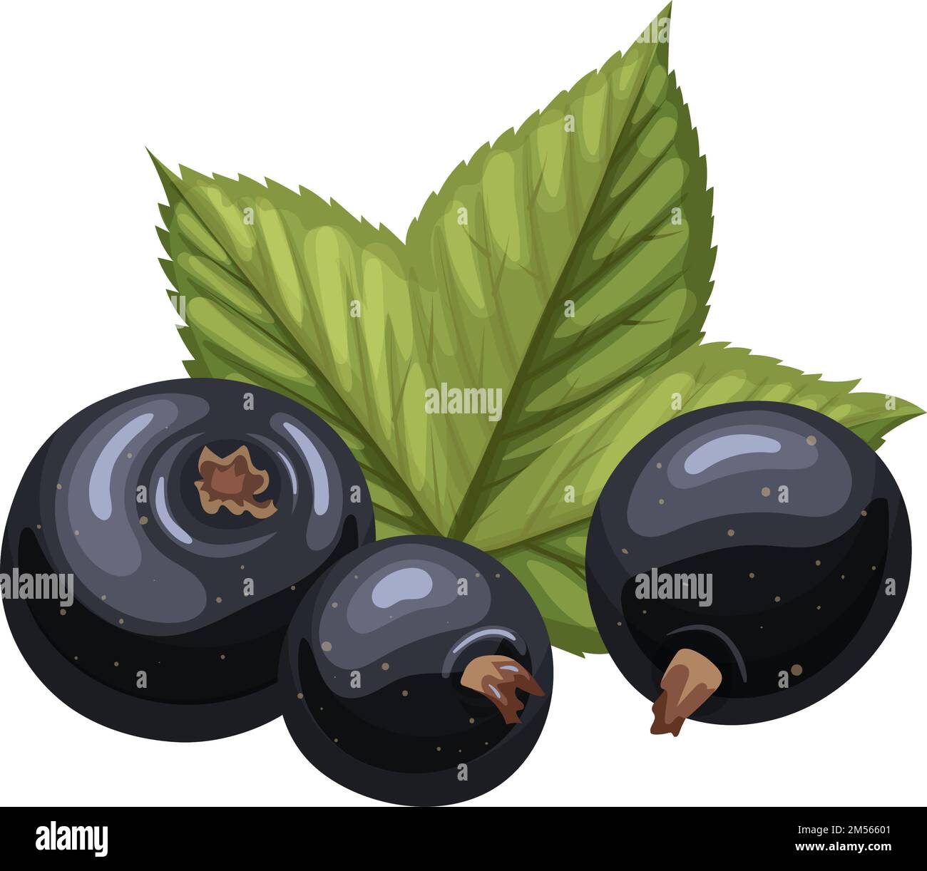 black currant food cartoon vector illustration Stock Vector Image & Art ...