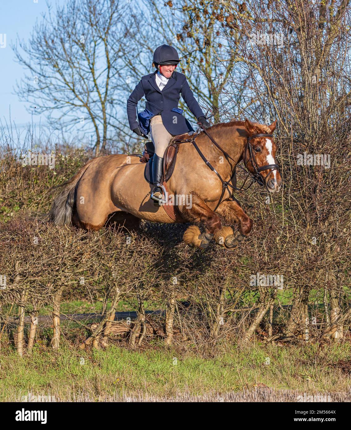 Lincolnshire, UK. 26th December 2022. The Boxing Day meet of the ...