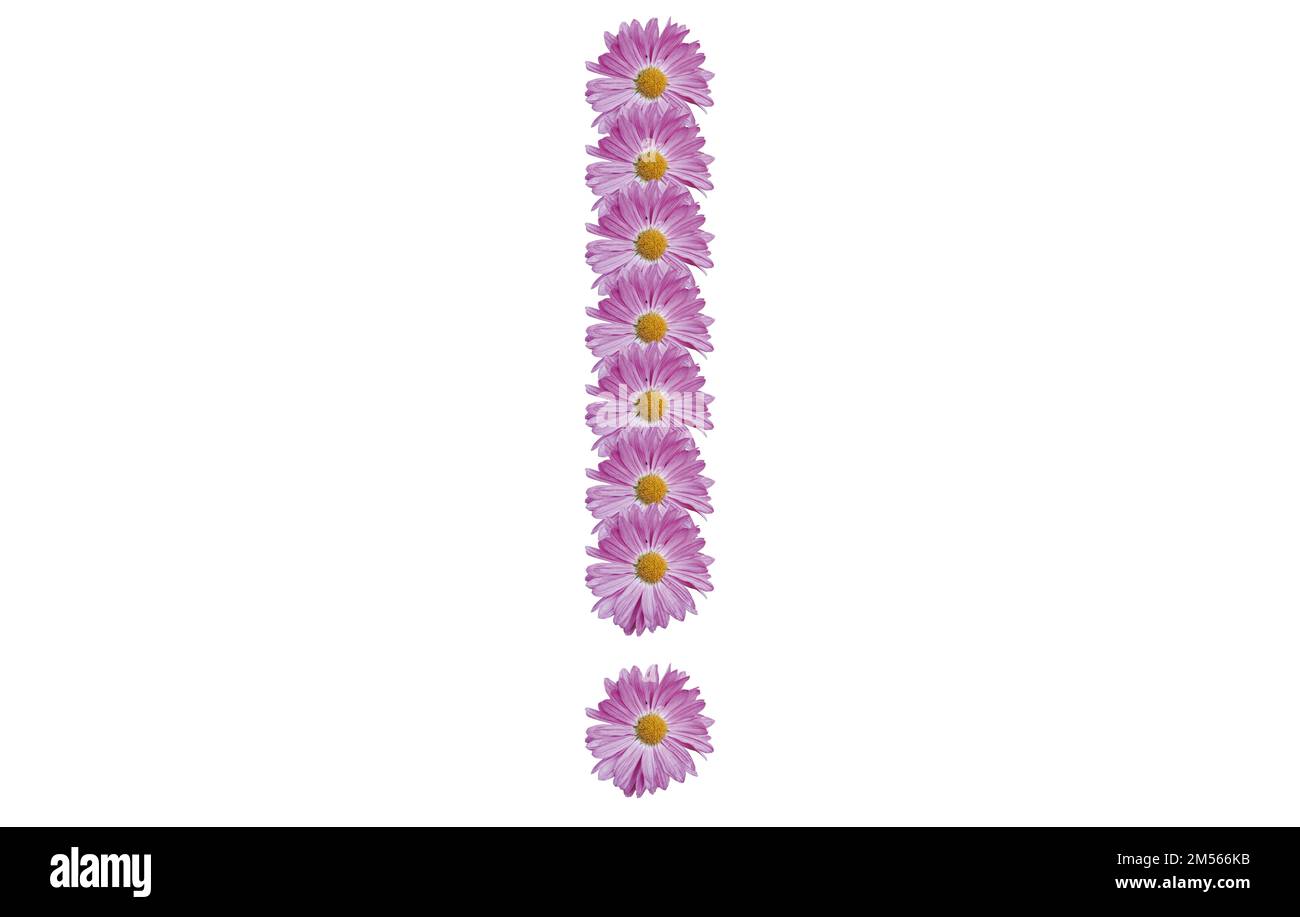 Exclamation mark sign made of pink flower, isolated on white background ...
