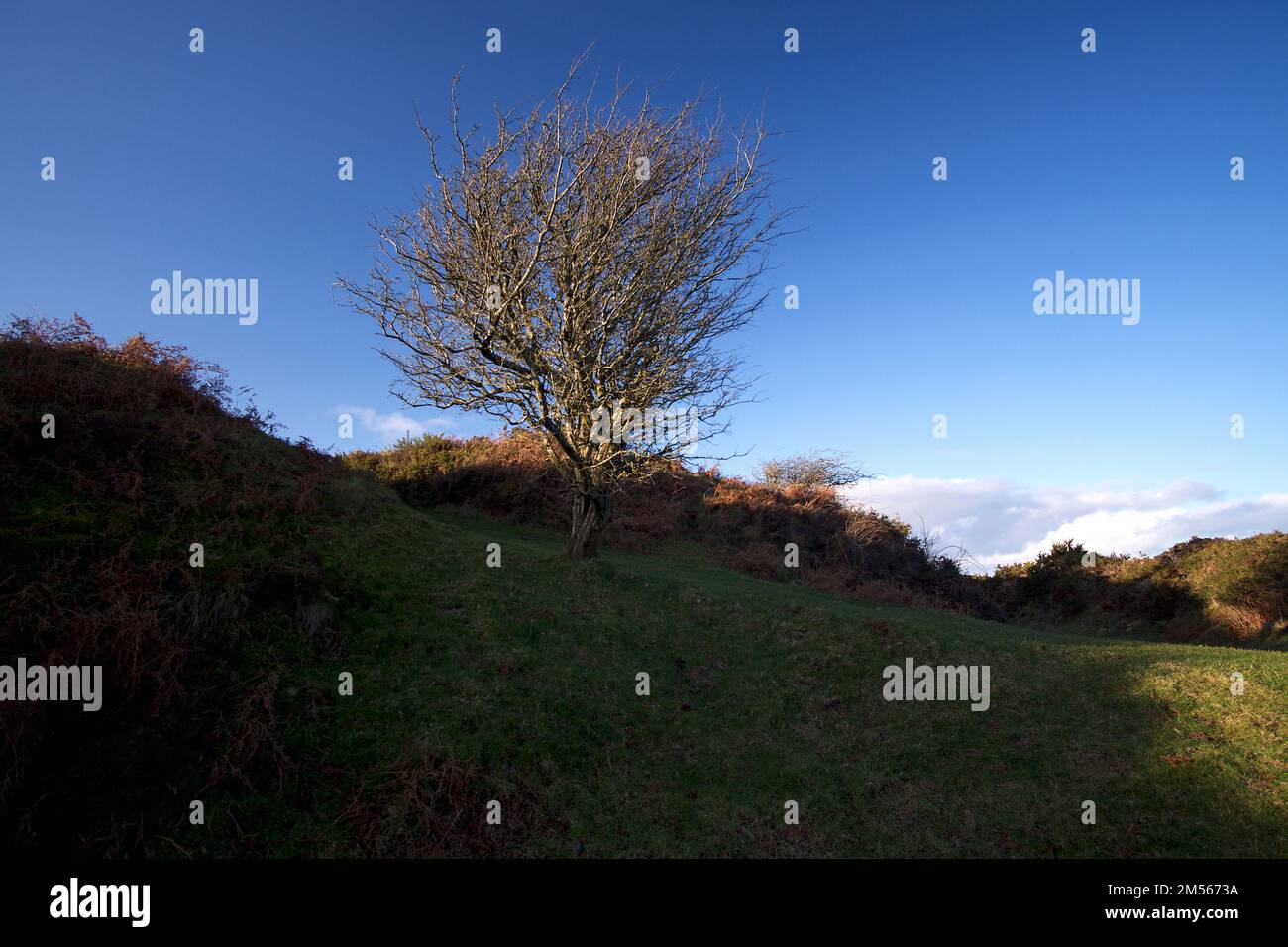 St Columb Cornwall UK 12 26 2022 Castle an Dinas Iron Age hill fort ...