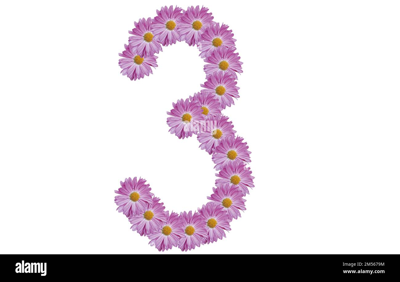 Number three made with pink flower isolated on white background. Spring ...