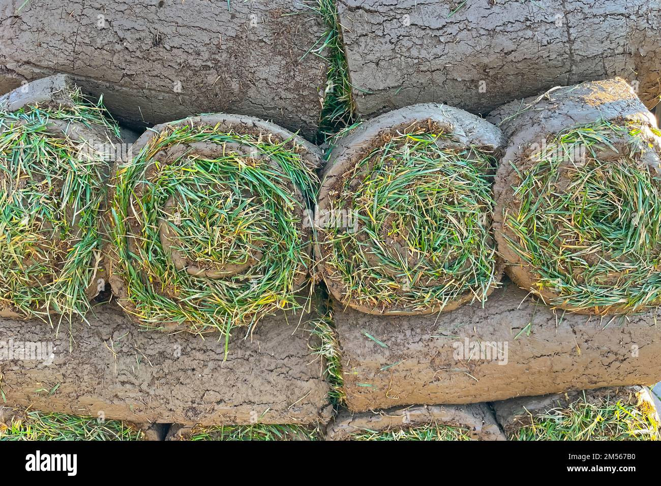 Rolled up in carpet hi-res stock photography and images - Alamy