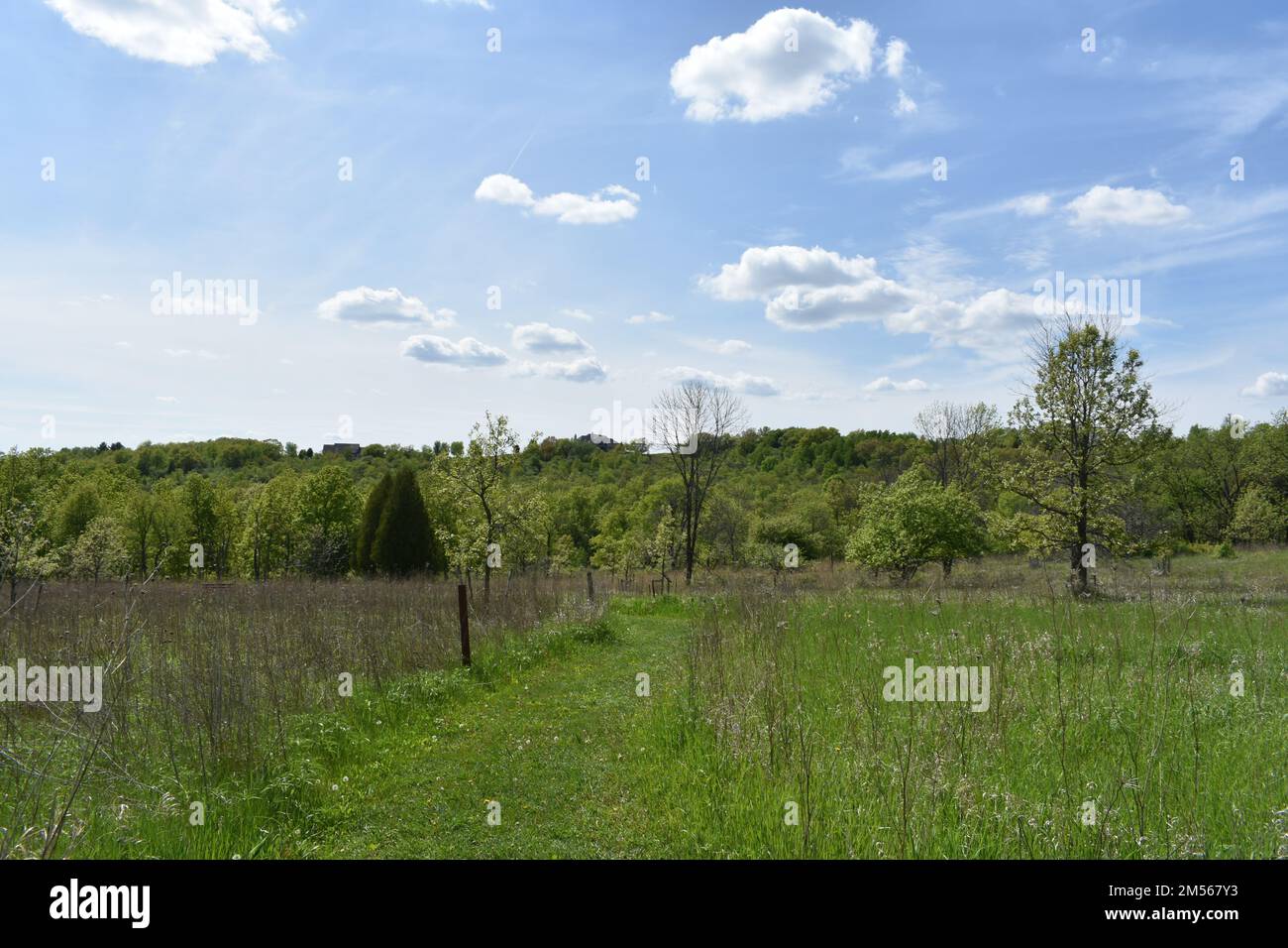 A scenic view of a landscape with open fields and hills seen on a ...