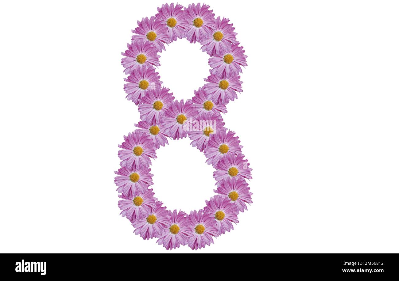 Number eight made with pink flower isolated on white background. Spring ...