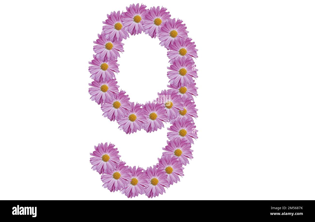 Number nine made with pink flower isolated on white background. Spring ...
