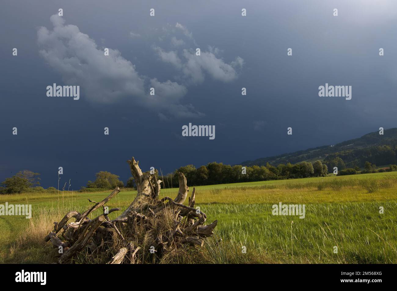 Gewitterstimmung im Seetal Stock Photo - Alamy