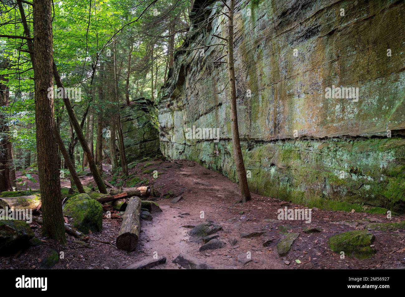 Hiking path next to stone wall on the Ledges Trail in Cuyahoga Valley ...