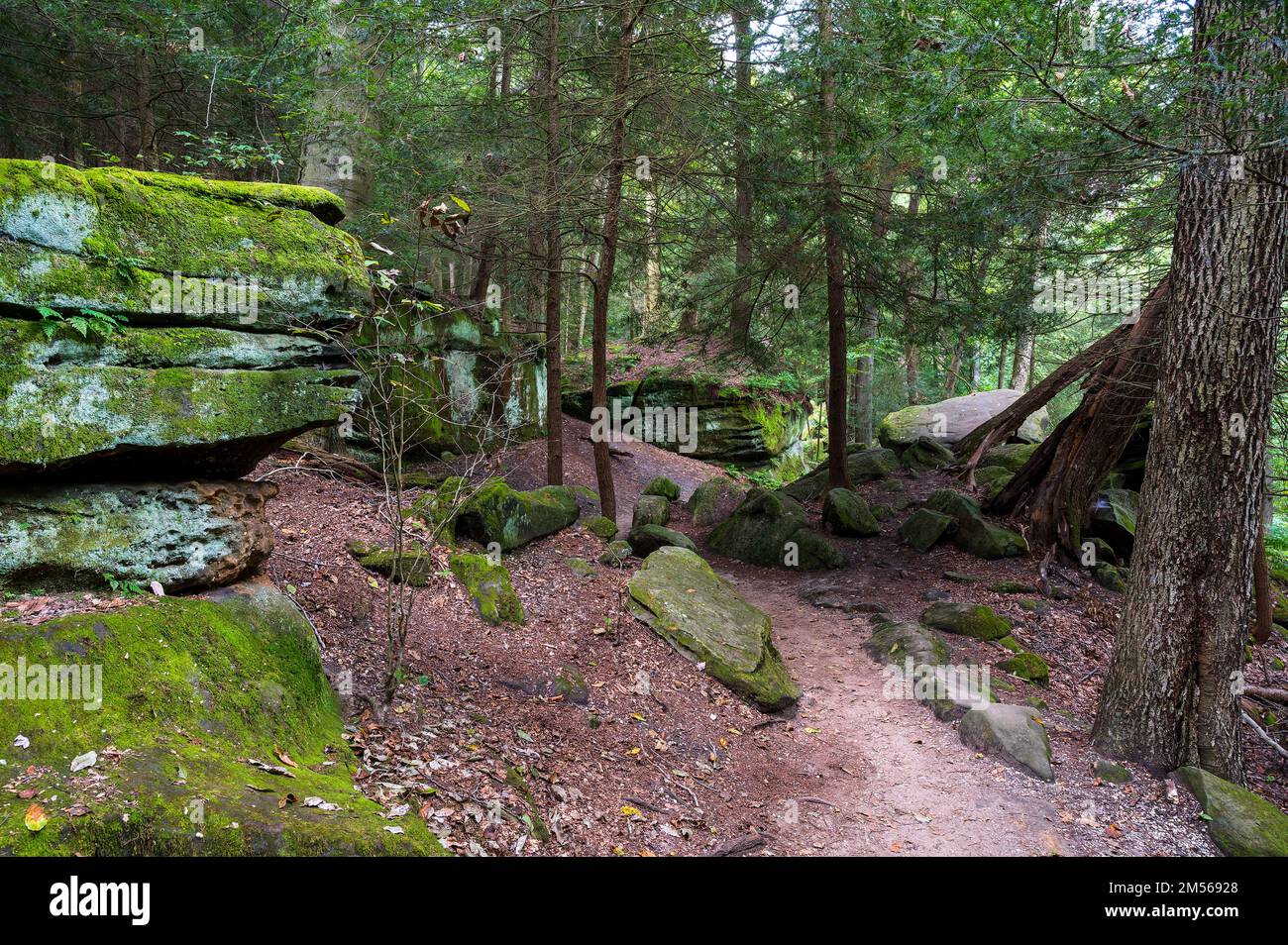 Hiking path on the Ledges Trail in Cuyahoga Valley National Park Stock ...