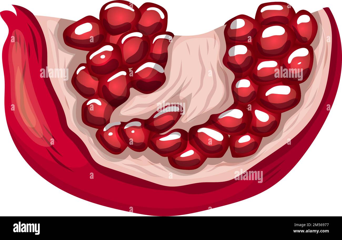 pomegranate ripe cartoon vector illustration Stock Vector Image & Art ...