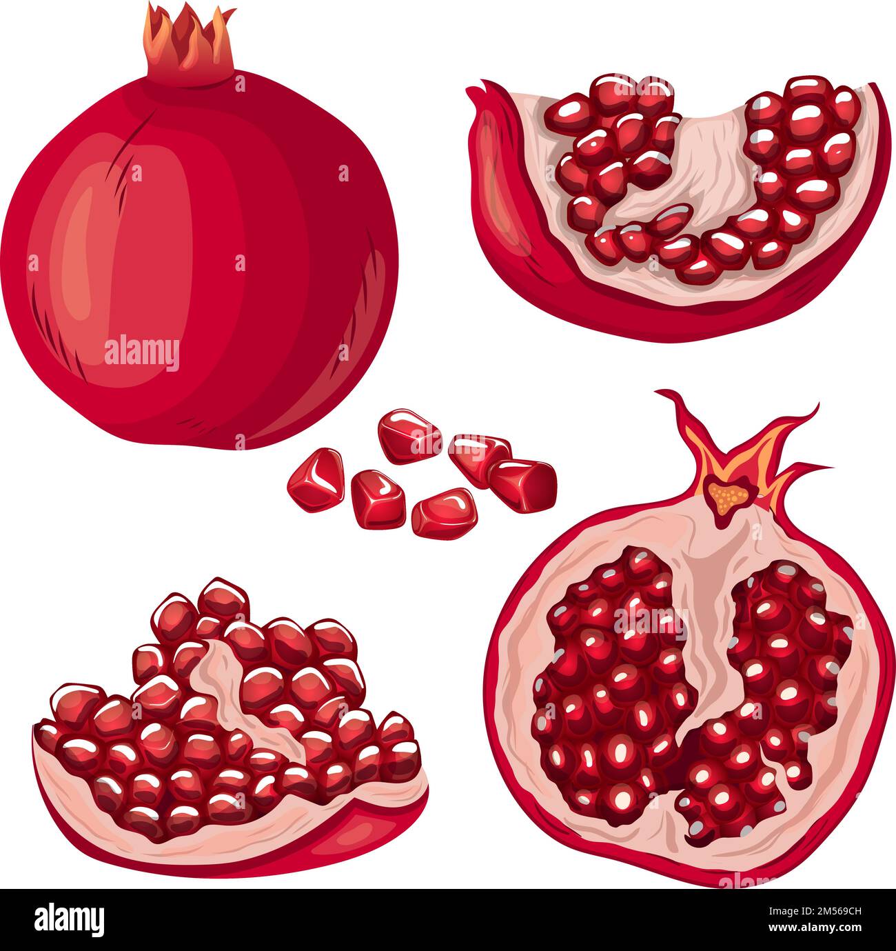 pomegranate fruit red seed set cartoon vector illustration Stock Vector ...