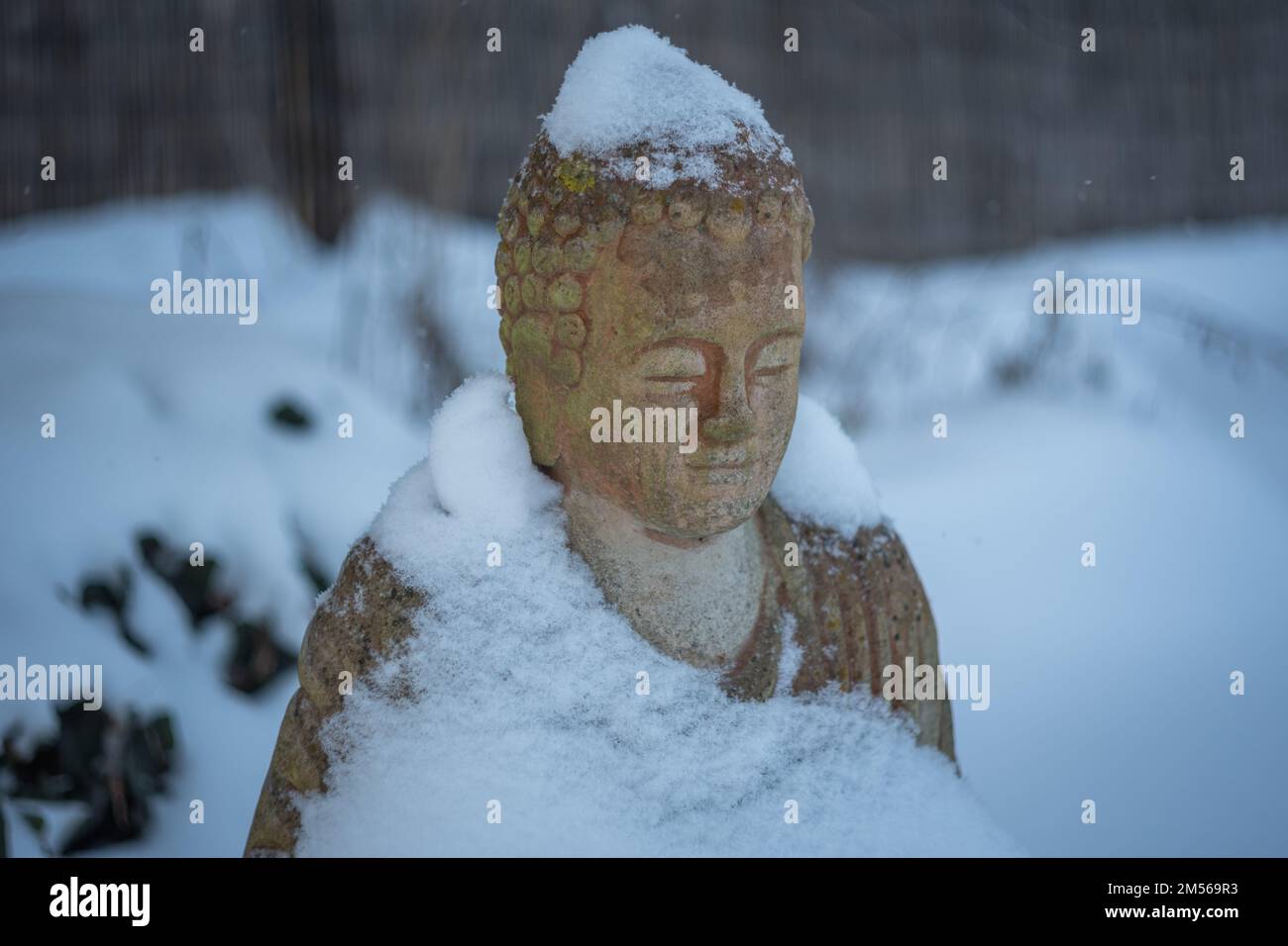 Schne Buddha Bild Xxl Ebenbild