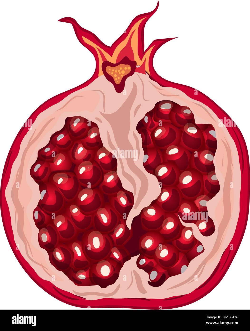 pomegranate cut cartoon vector illustration Stock Vector Image & Art ...