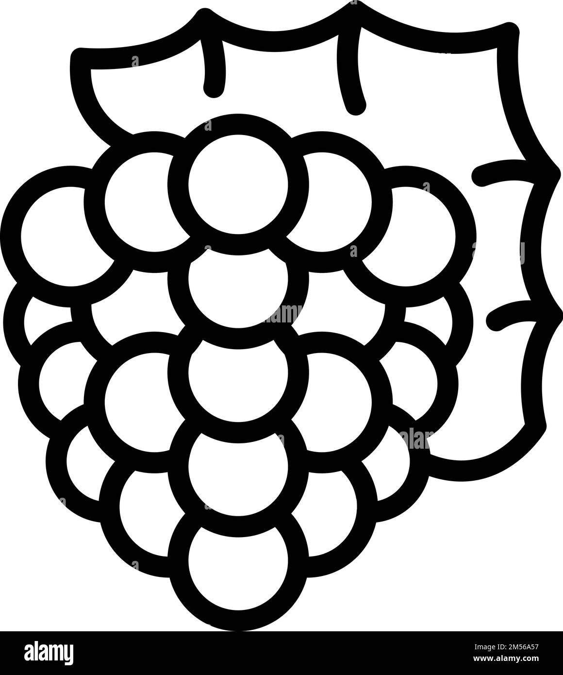 Fresh grapes icon outline vector. Food winery. Bar making Stock Vector ...