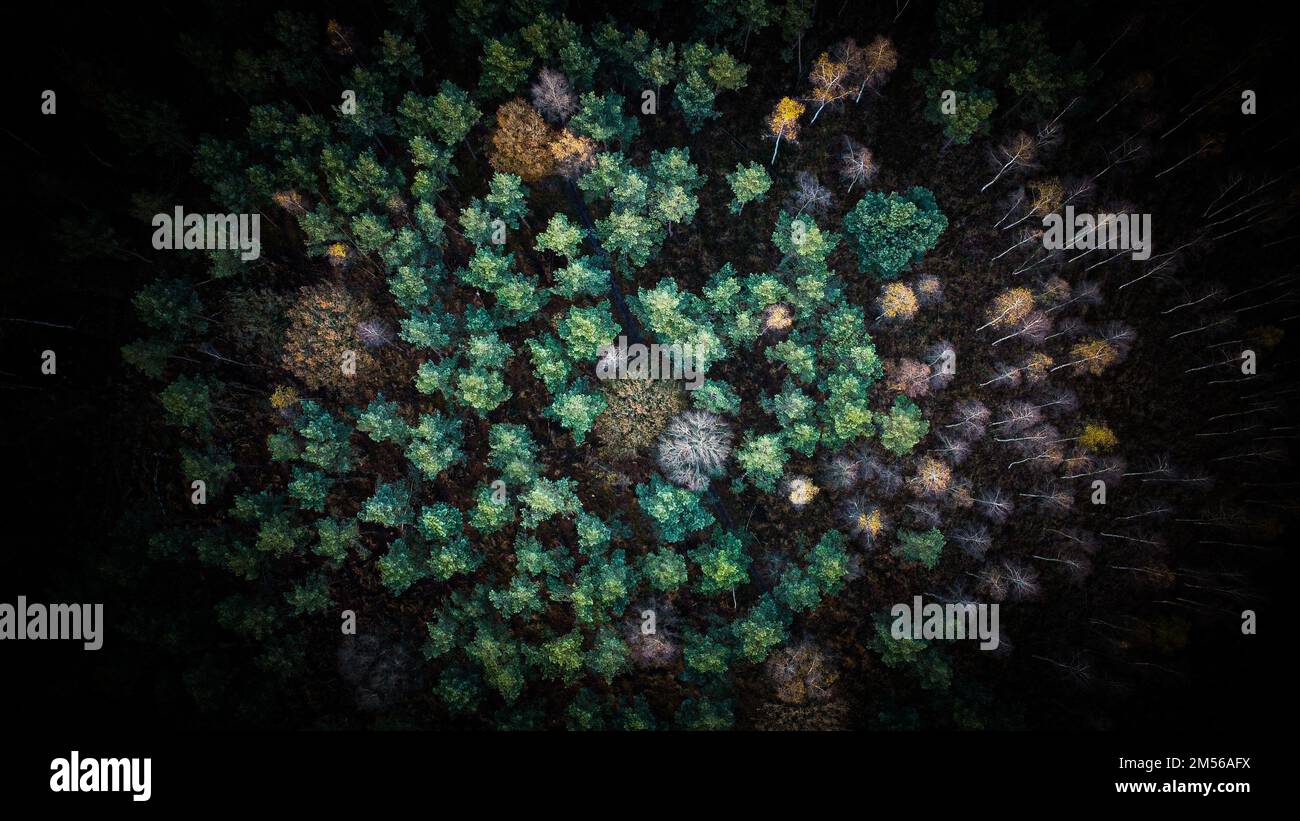 Sparse environment hi-res stock photography and images - Alamy