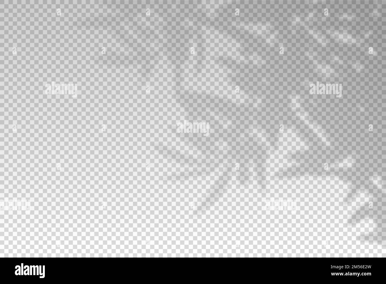 Sunlight beams plants Black and White Stock Photos & Images - Alamy