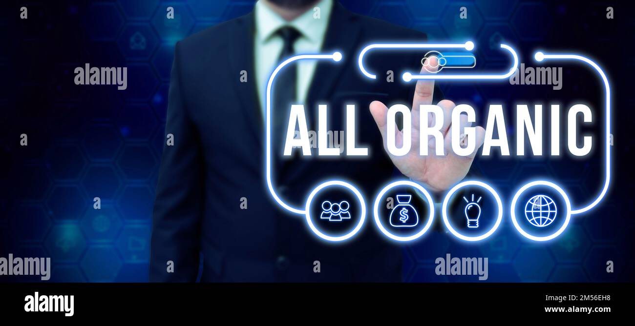 Inspiration showing sign All Organic. Word Written on foods that have ...