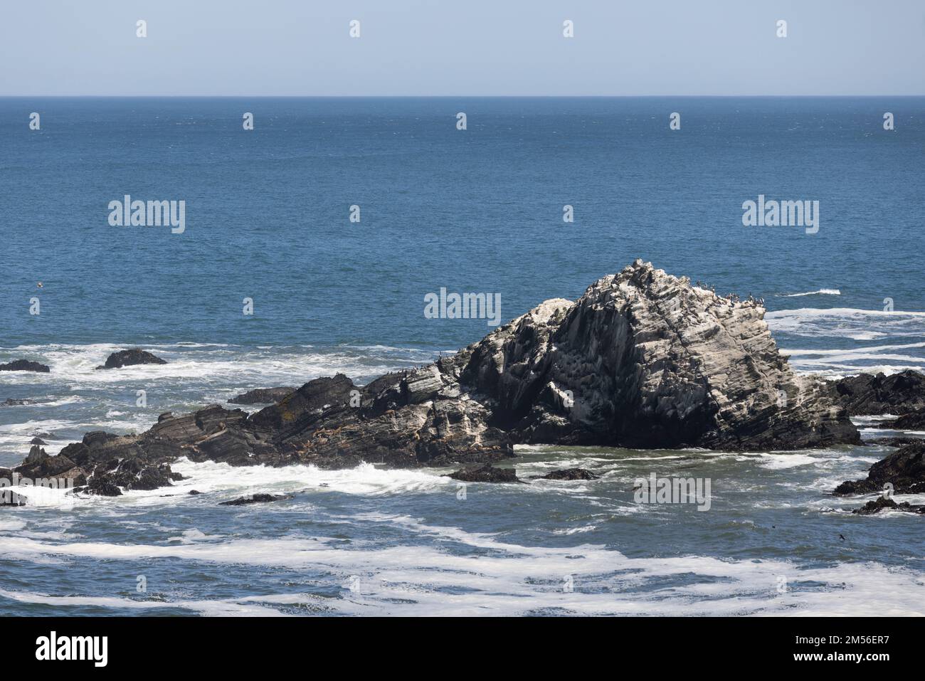 Big serrated rocks inhabited by sea lions at Isla Maiquillahue in the ...