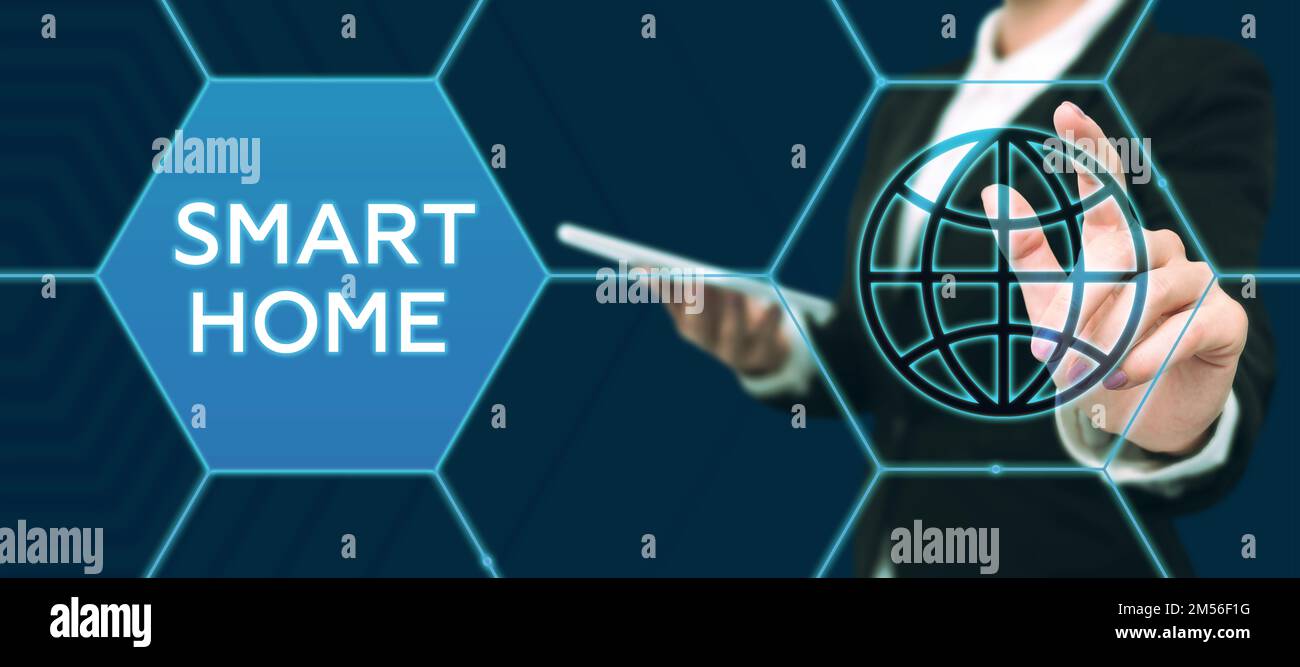 Conceptual display Smart Home, Business overview automation system control lighting climate ...