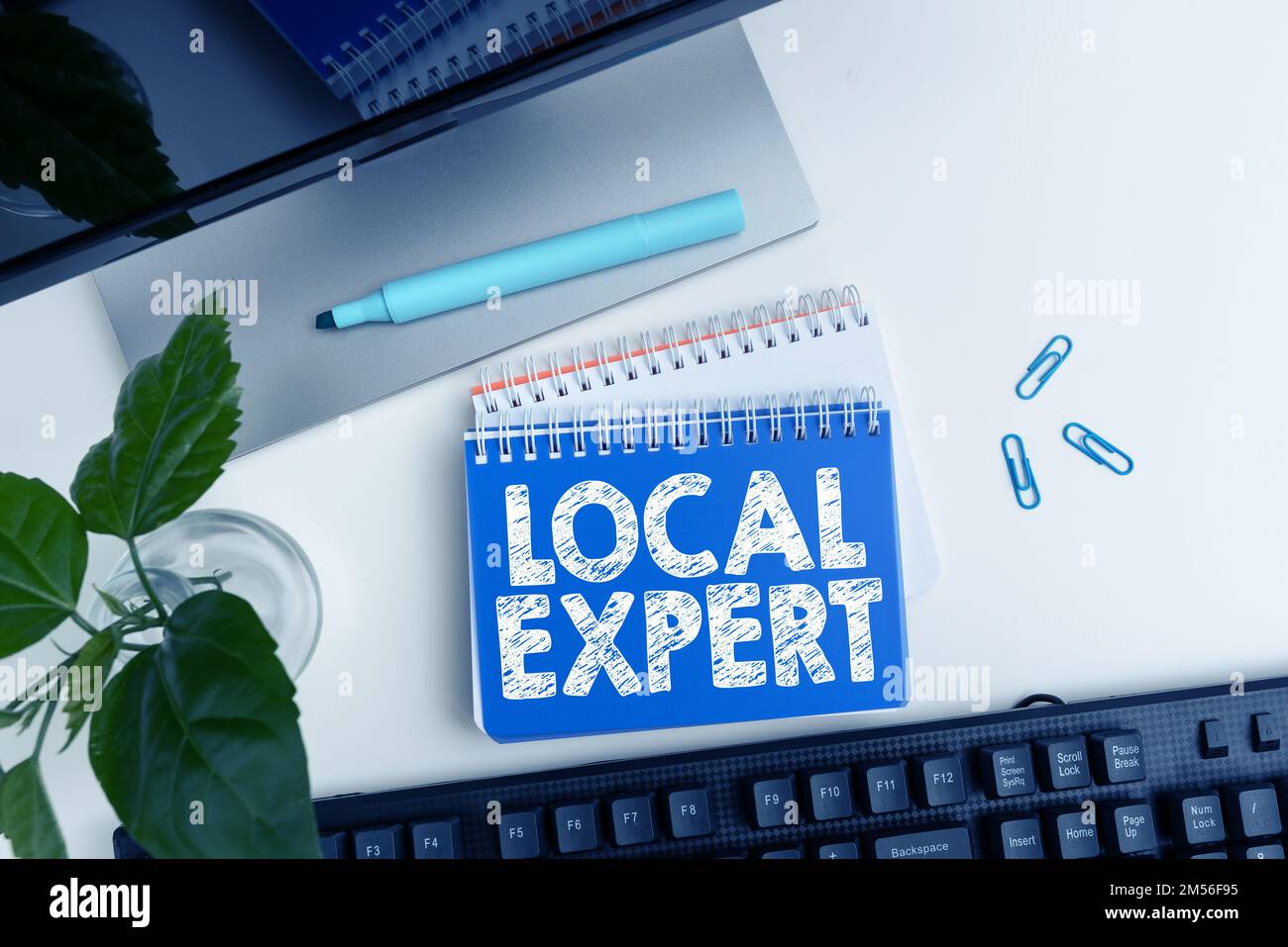 Handwriting text Local Expert. Concept meaning offers expertise and ...