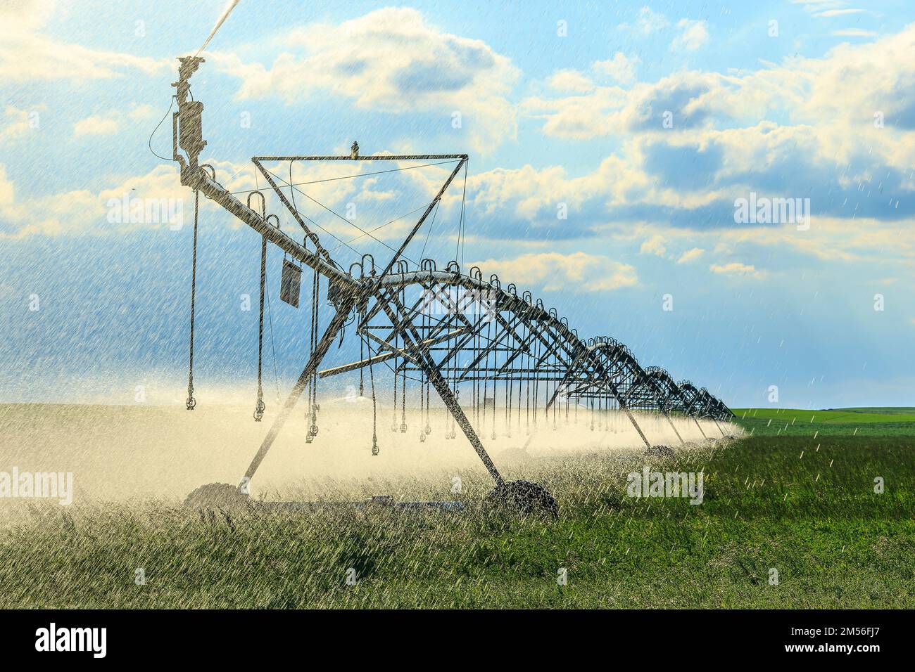 Irrigation sprinklers spraying water on a green field in southern ...