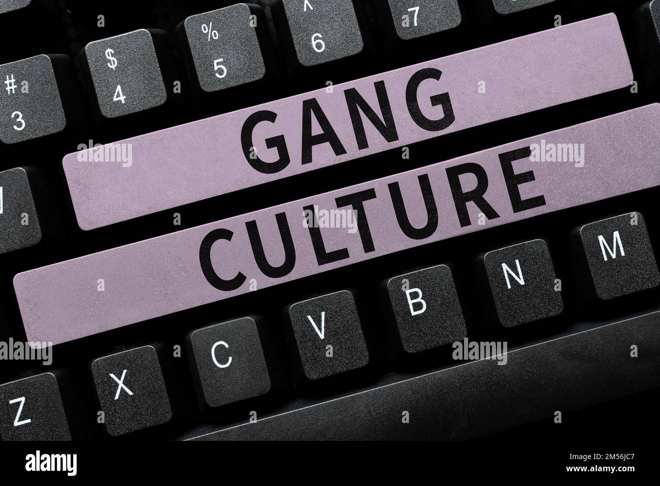 Text sign showing Gang Culture, Word for particular organization of ...