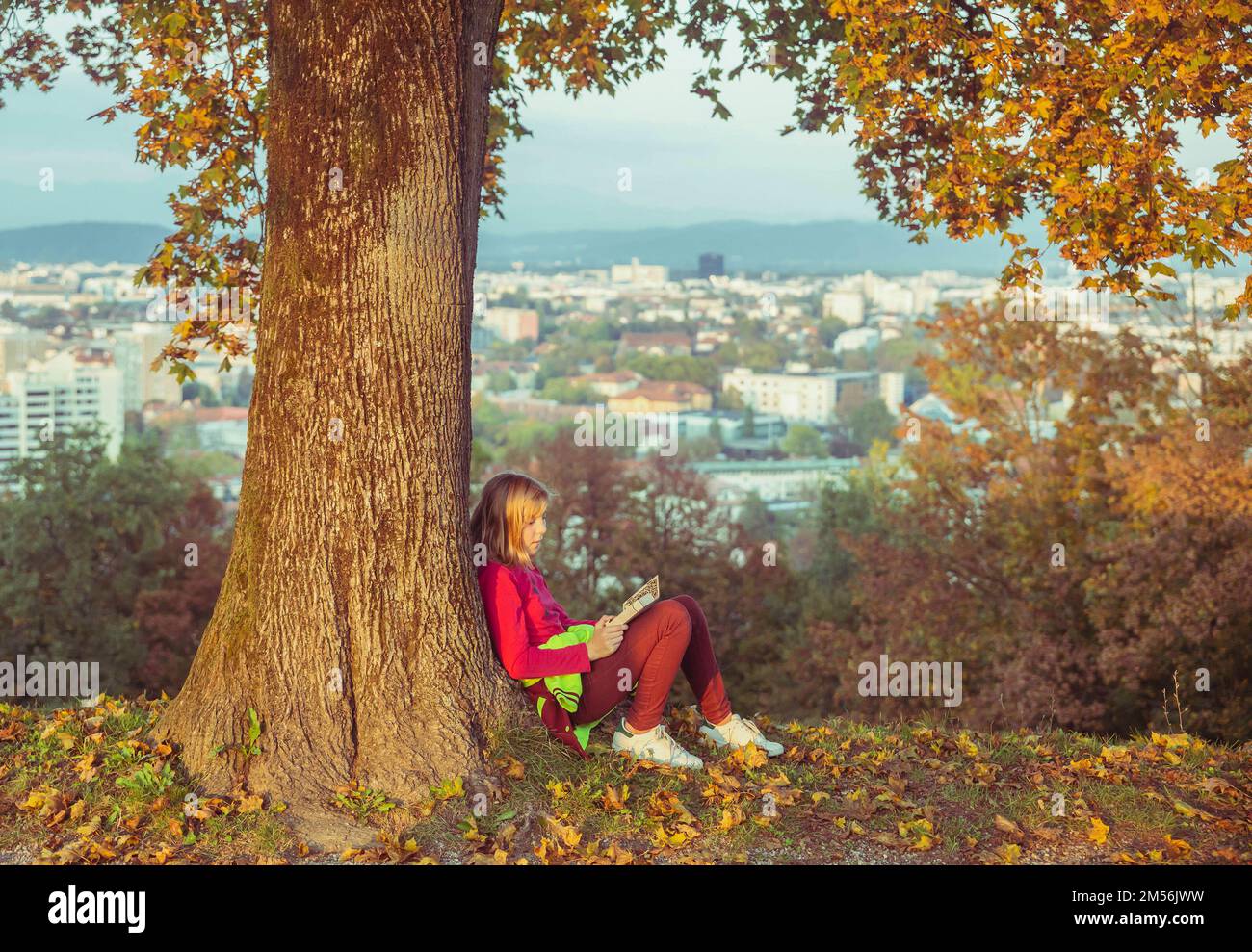 Teenager sitting under tree hi-res stock photography and images - Alamy