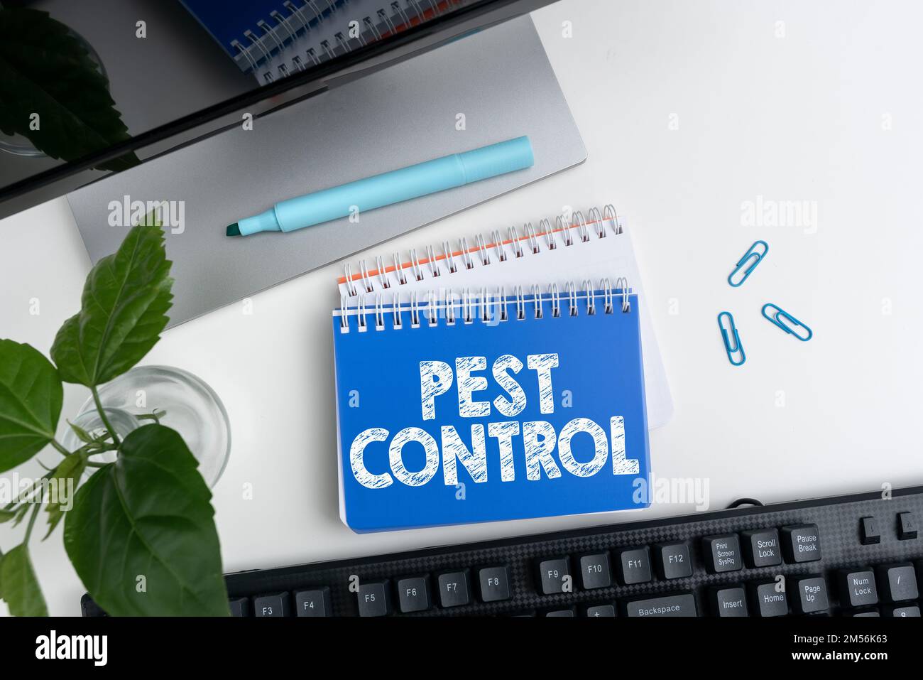 Conceptual caption Pest Control. Business approach Killing destructive ...