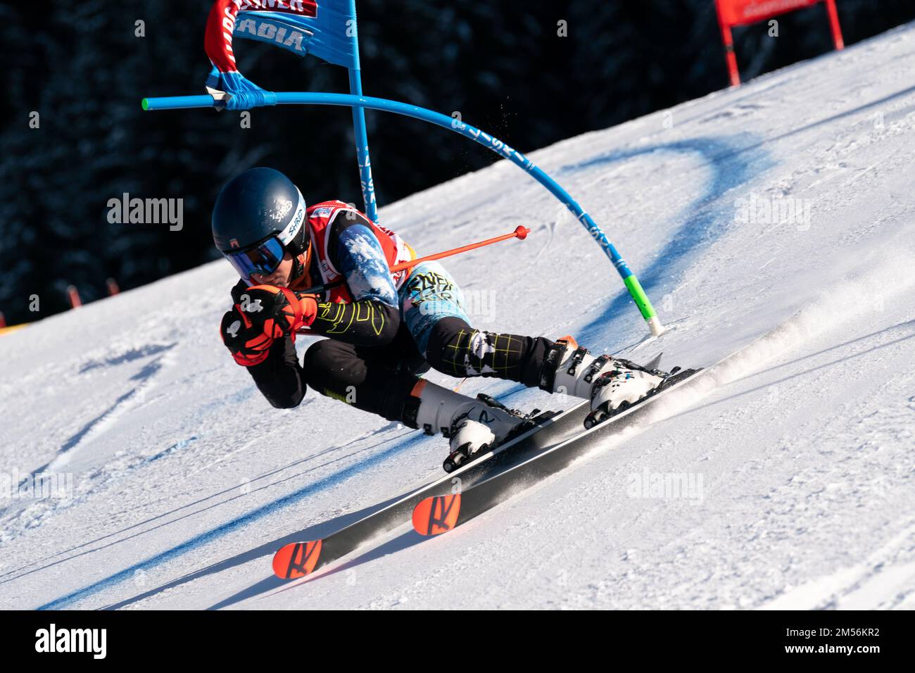 Thaler david hi-res stock photography and images - Alamy