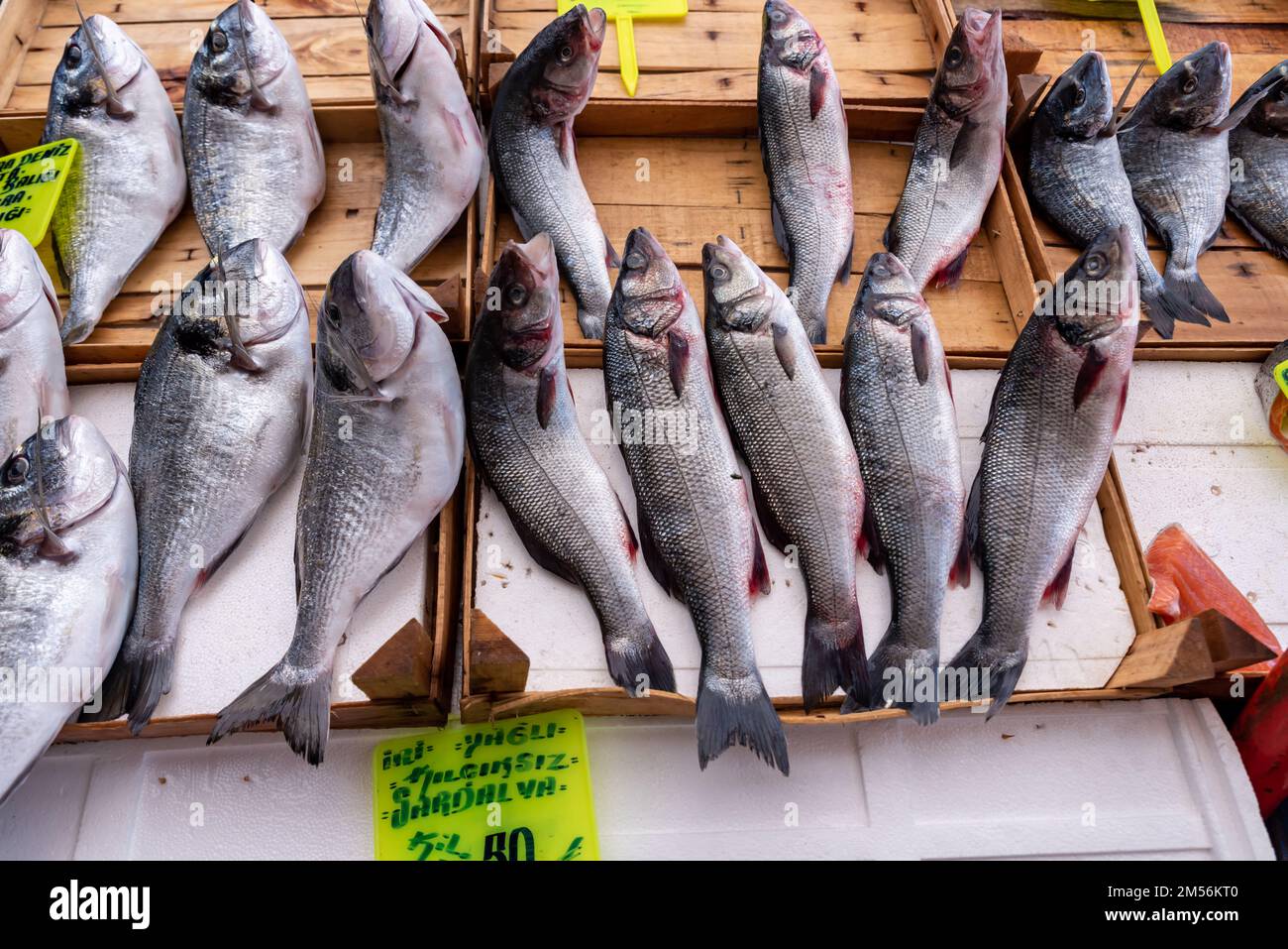 open air fish market , many fish for sale Stock Photo - Alamy