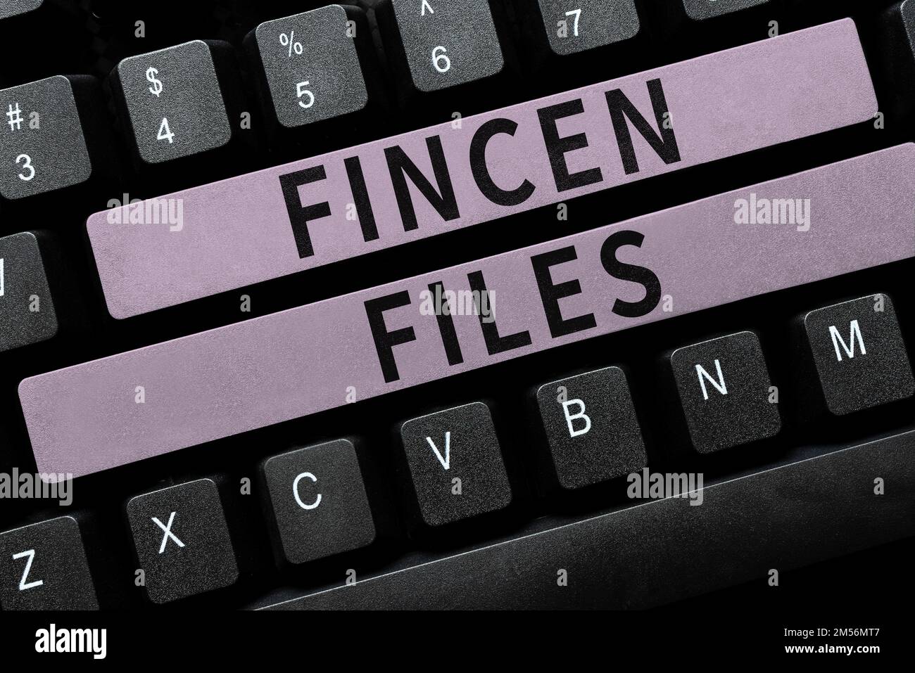 Inspiration showing sign Fincen Files, Business concept Transactions in ...