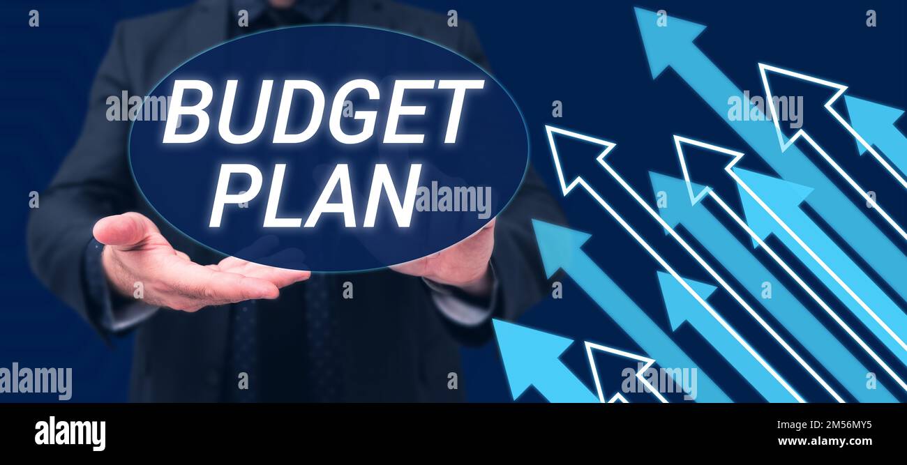 Text sign showing Budget Plan, Internet Concept financial schedule for ...