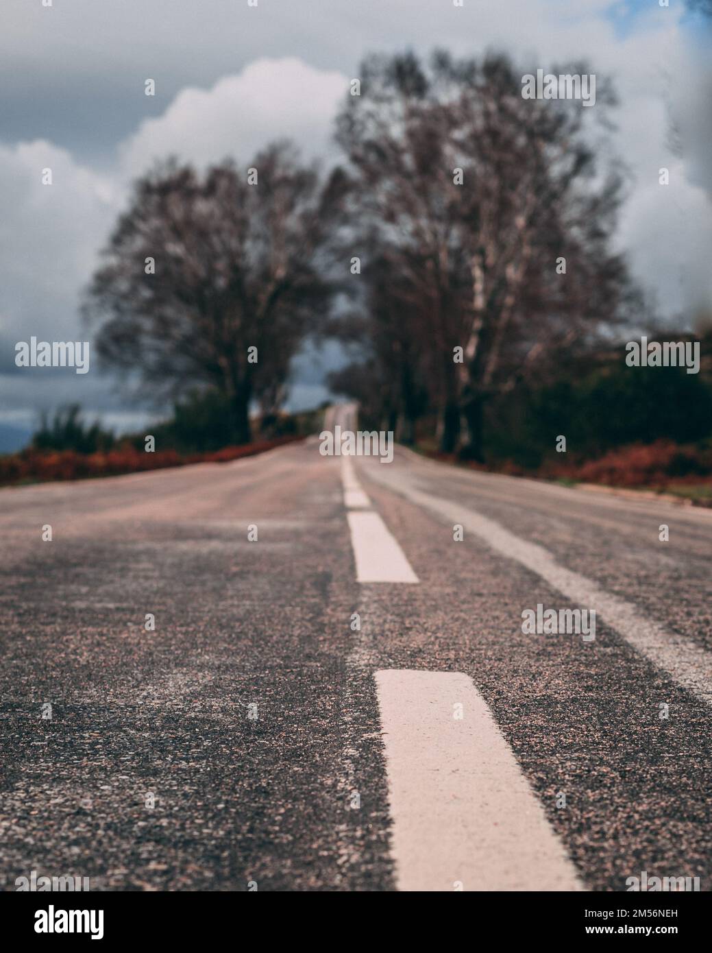 A grey asphalt country road with strong white lines in the middle of ...
