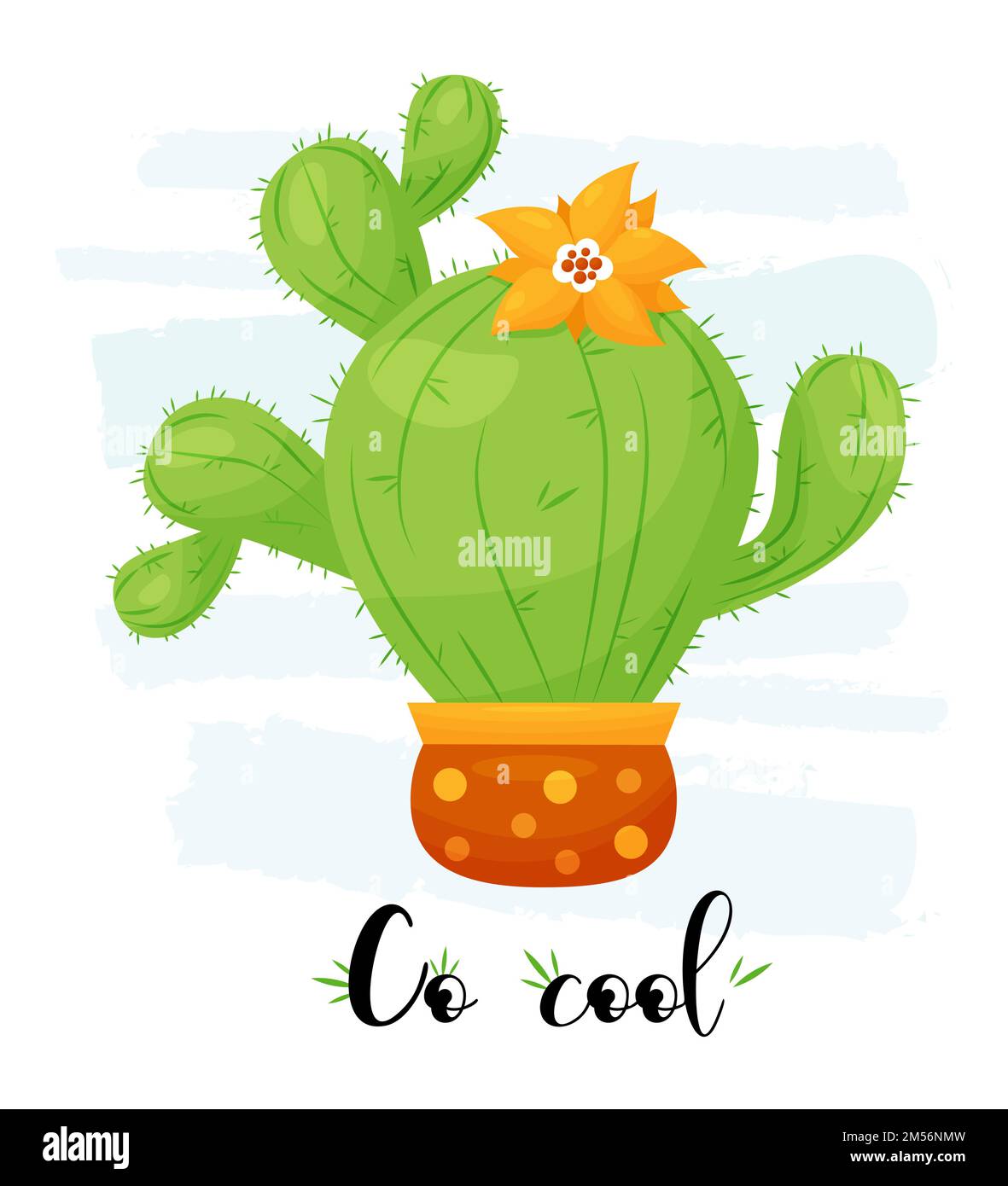 Indoor plant flowerpot. Prickly green tropical cactus with flower. Co ...