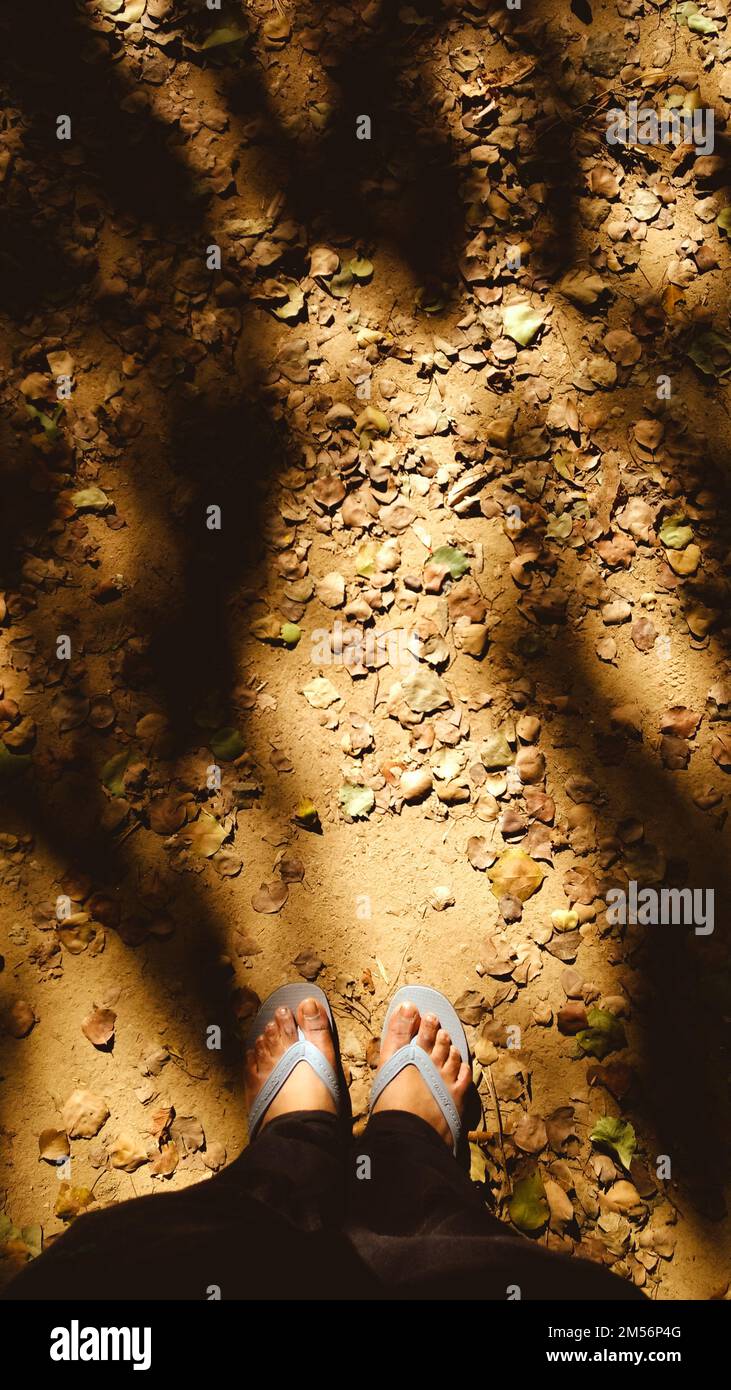 Human shadows on the ground hi-res stock photography and images - Alamy