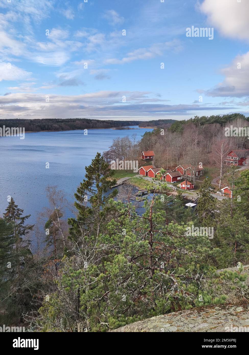 A vertical shot of a blue clean lake with forests and cabins in its ...
