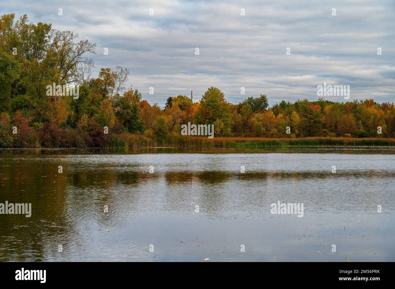 Real backgrounds hi-res stock photography and images - Alamy