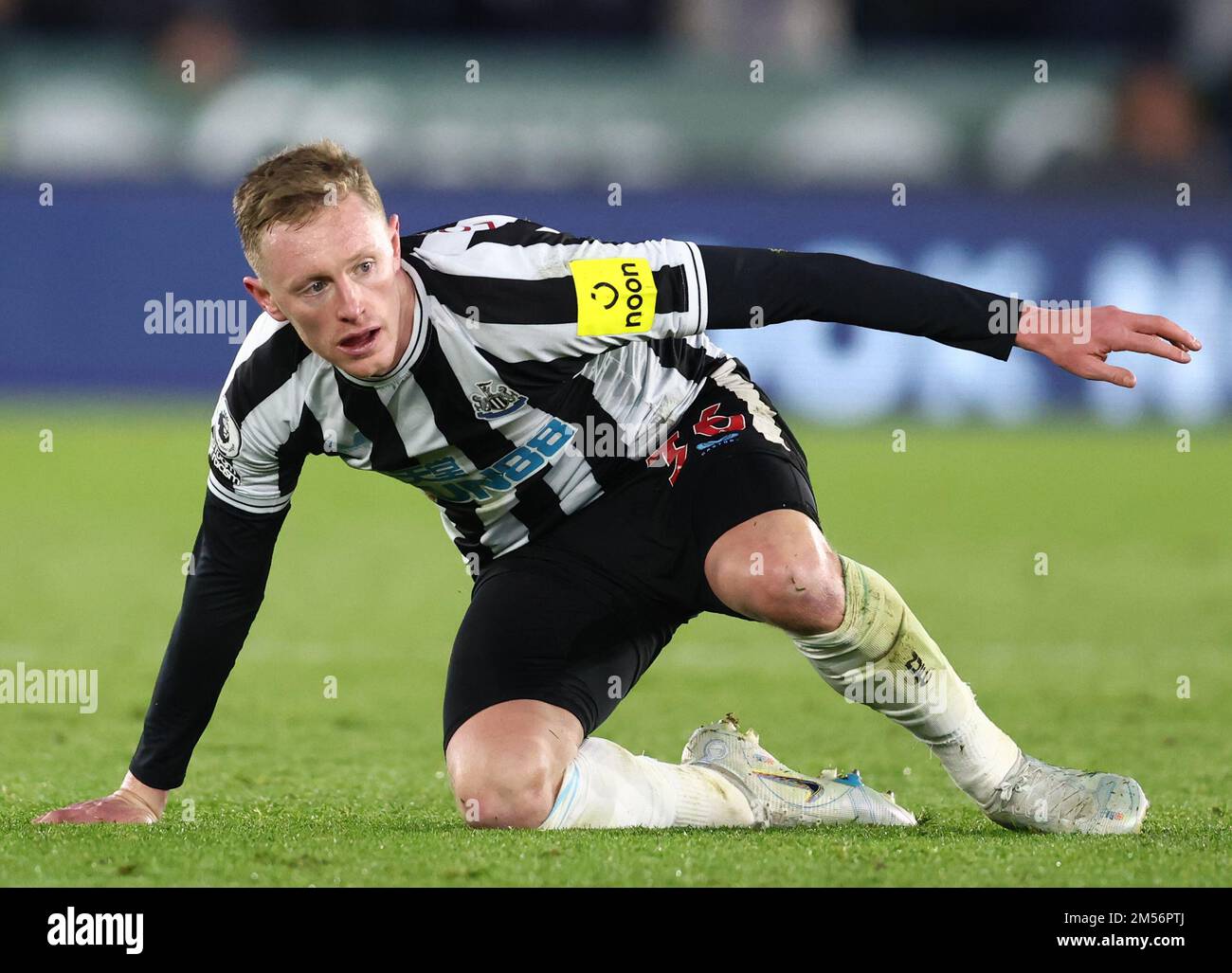 Longstaff hi-res stock photography and images - Alamy