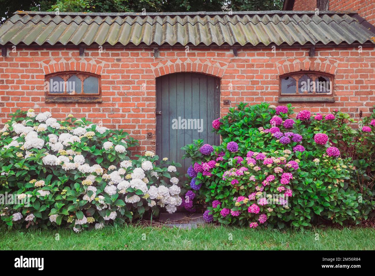 Old brick house with a large flower bed Stock Photo - Alamy
