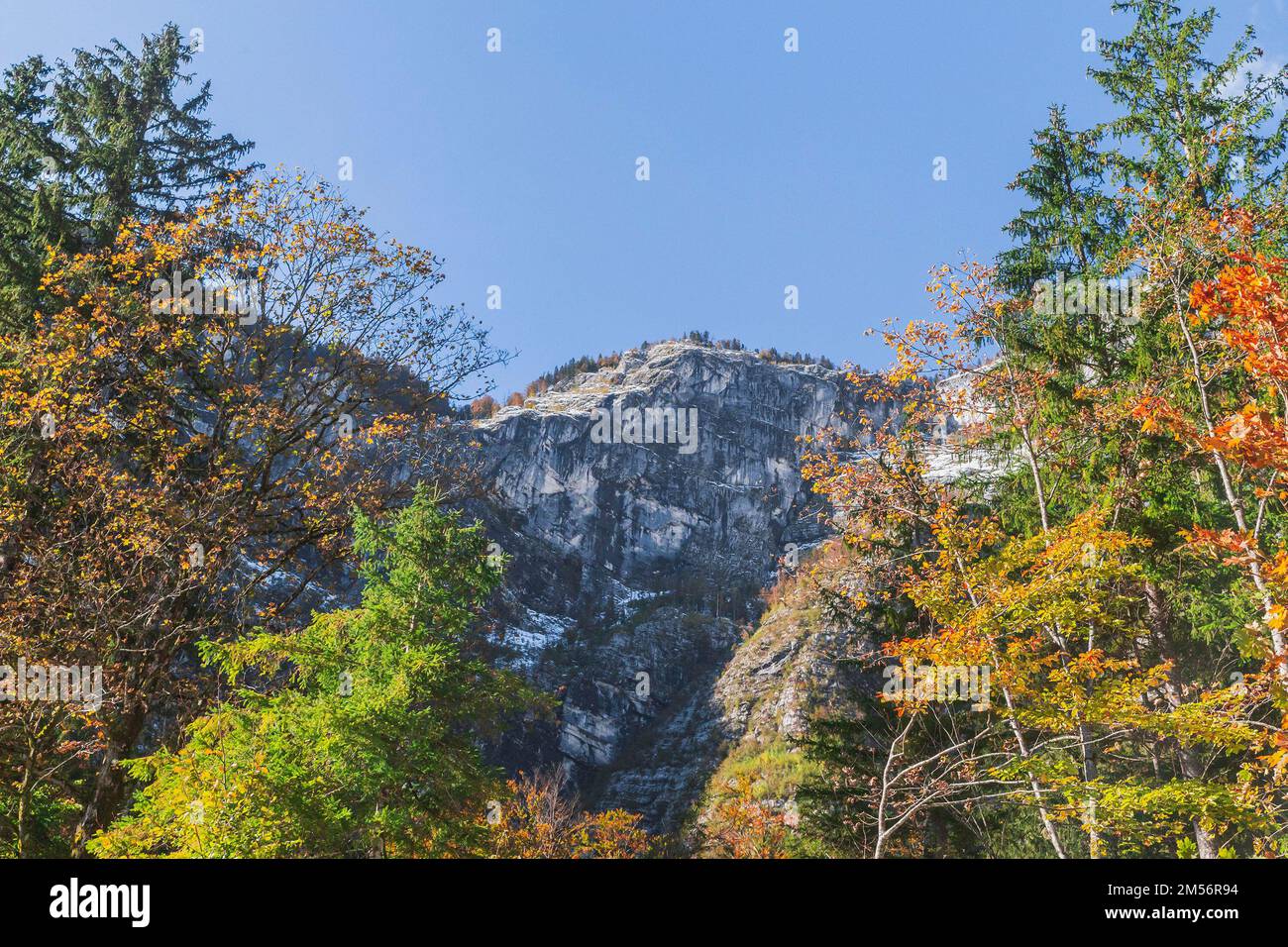 Autumn landscape. Alpine mountain range in Slovenia Stock Photo - Alamy
