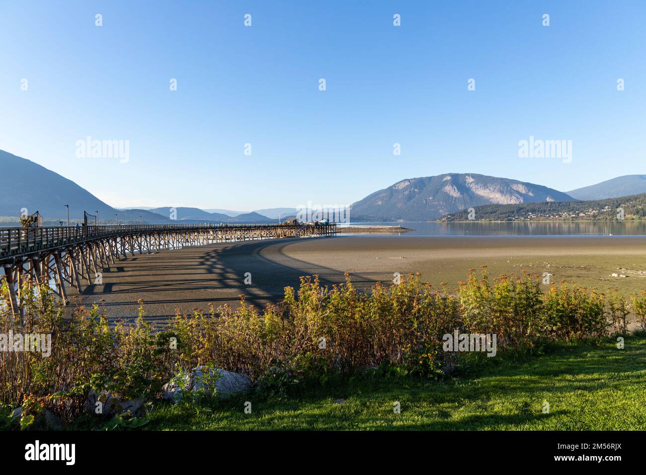 Salmon arm wharf hi-res stock photography and images - Alamy