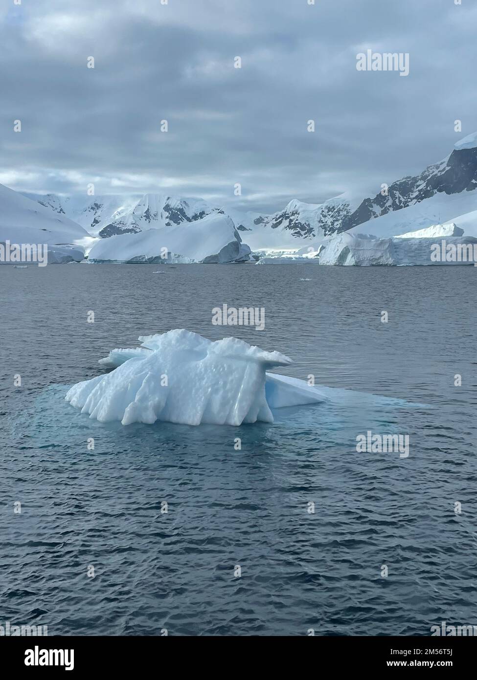 A scenic vertical shot of ice cubes in the ocean in Antarctica Stock ...