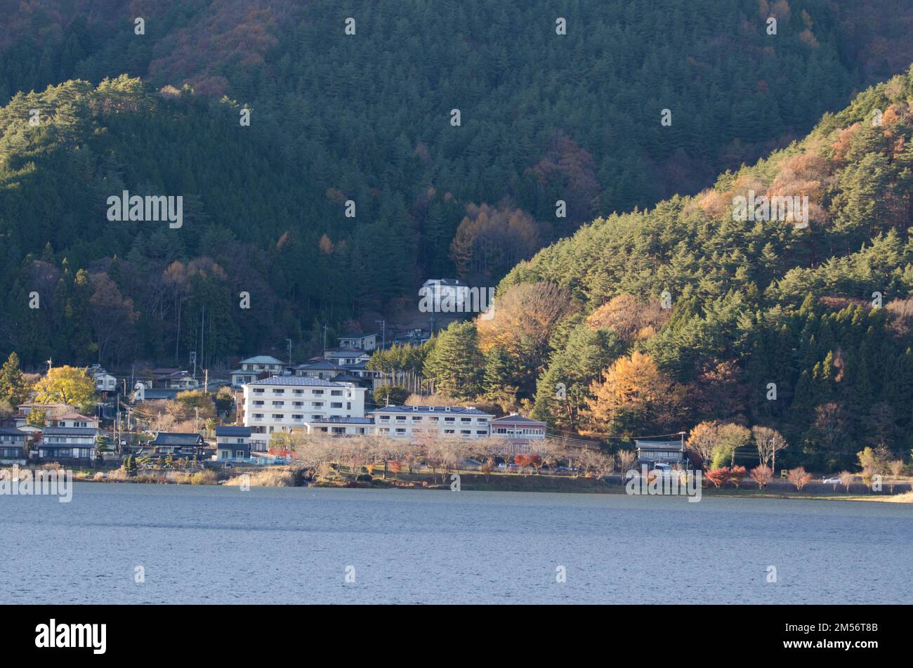 Shore of Lake Kawaguchi. Fujikawaguchico. Yamanashi Prefecture. Fuji ...
