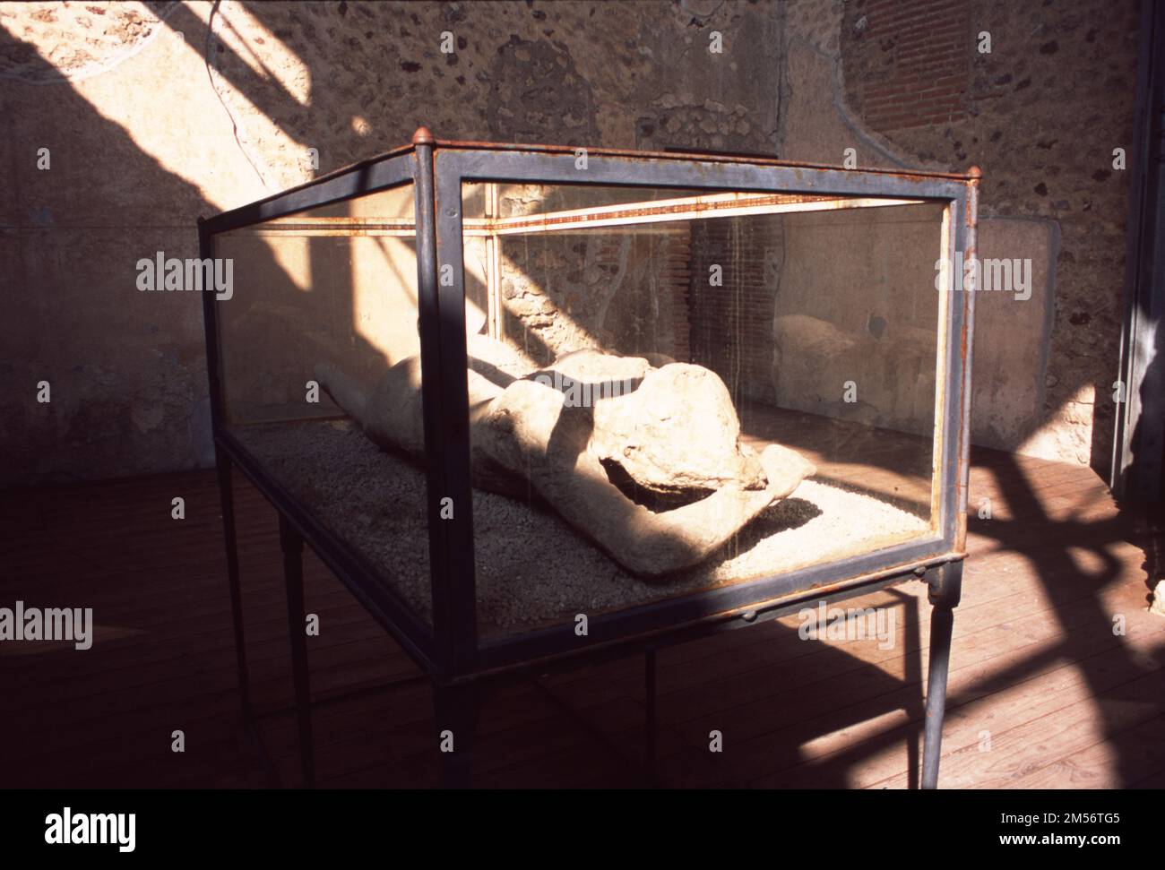 Cadaver cast hi-res stock photography and images - Alamy