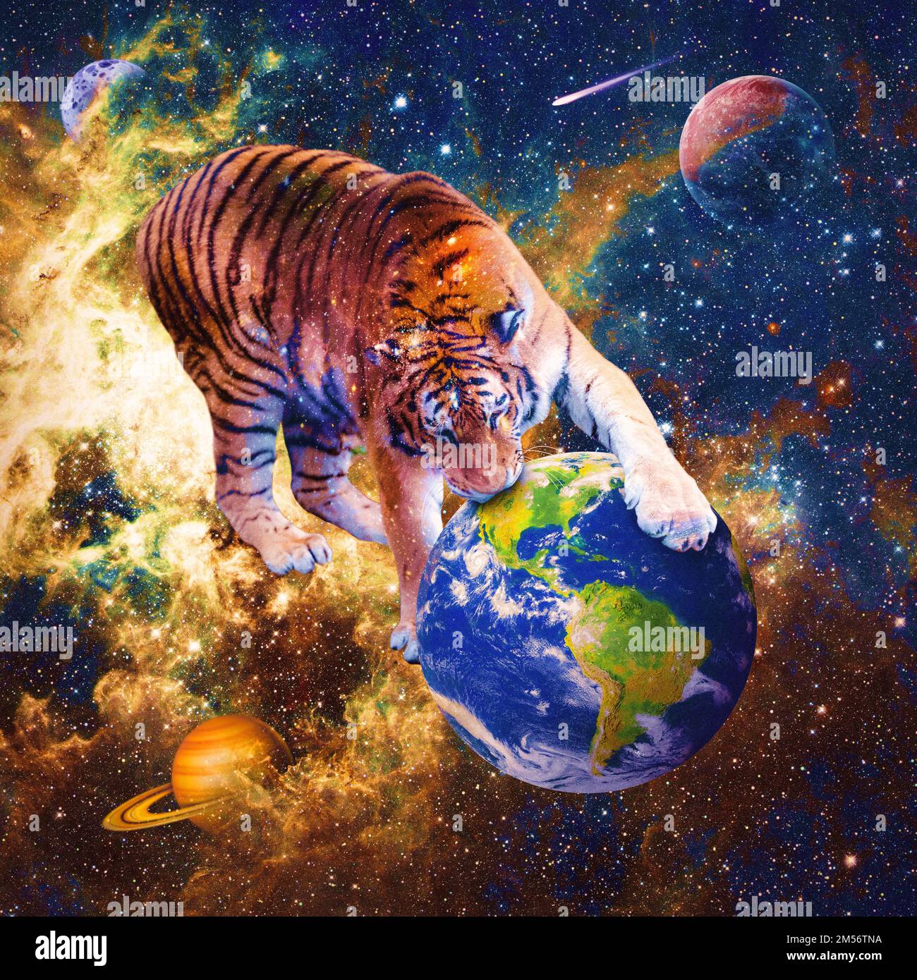 Moon tiger hi-res stock photography and images - Alamy