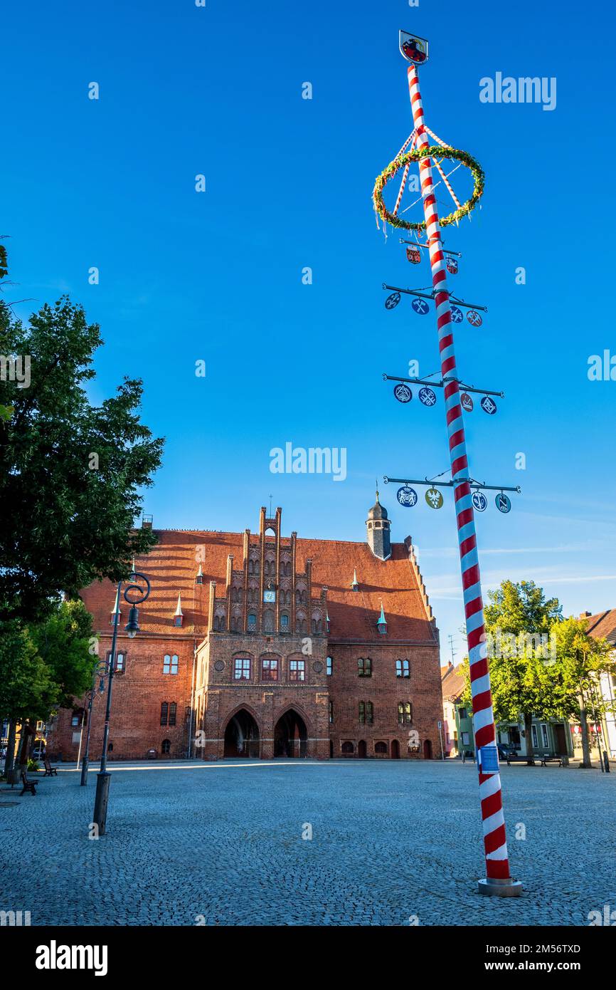 May tree in front of Town Hall Jüterbog, Brandenburg, Germany Stock ...
