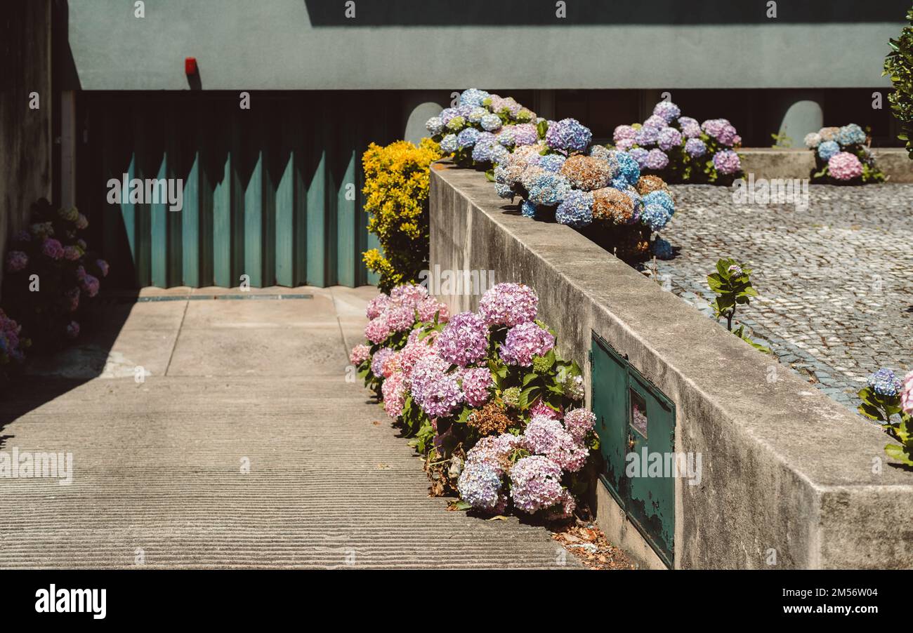 The capture of a ramp that gives access to a garage with a green gate ...